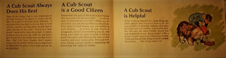 Dave Cub (Scout) – DeeBeeGee's Virtual Black Doll Museum™